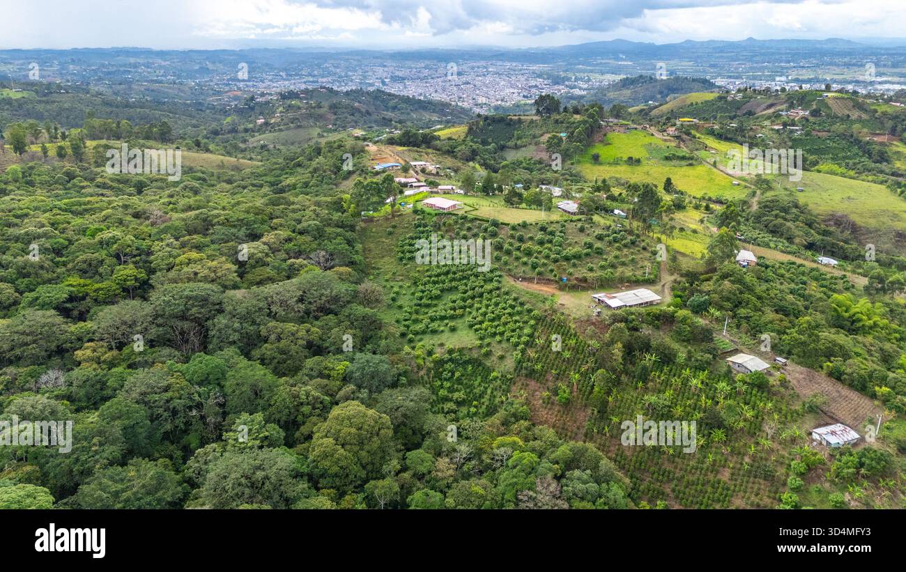 Stunning aerial view of lush green fields and hills in Popayán, Cauca ...