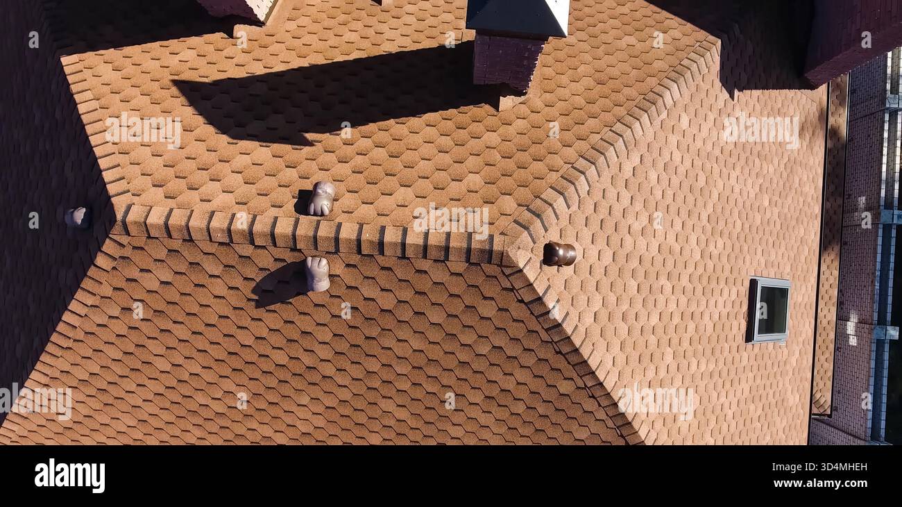 House with a roof from a bituminous tile. Bituminous tile for a roof. a ...