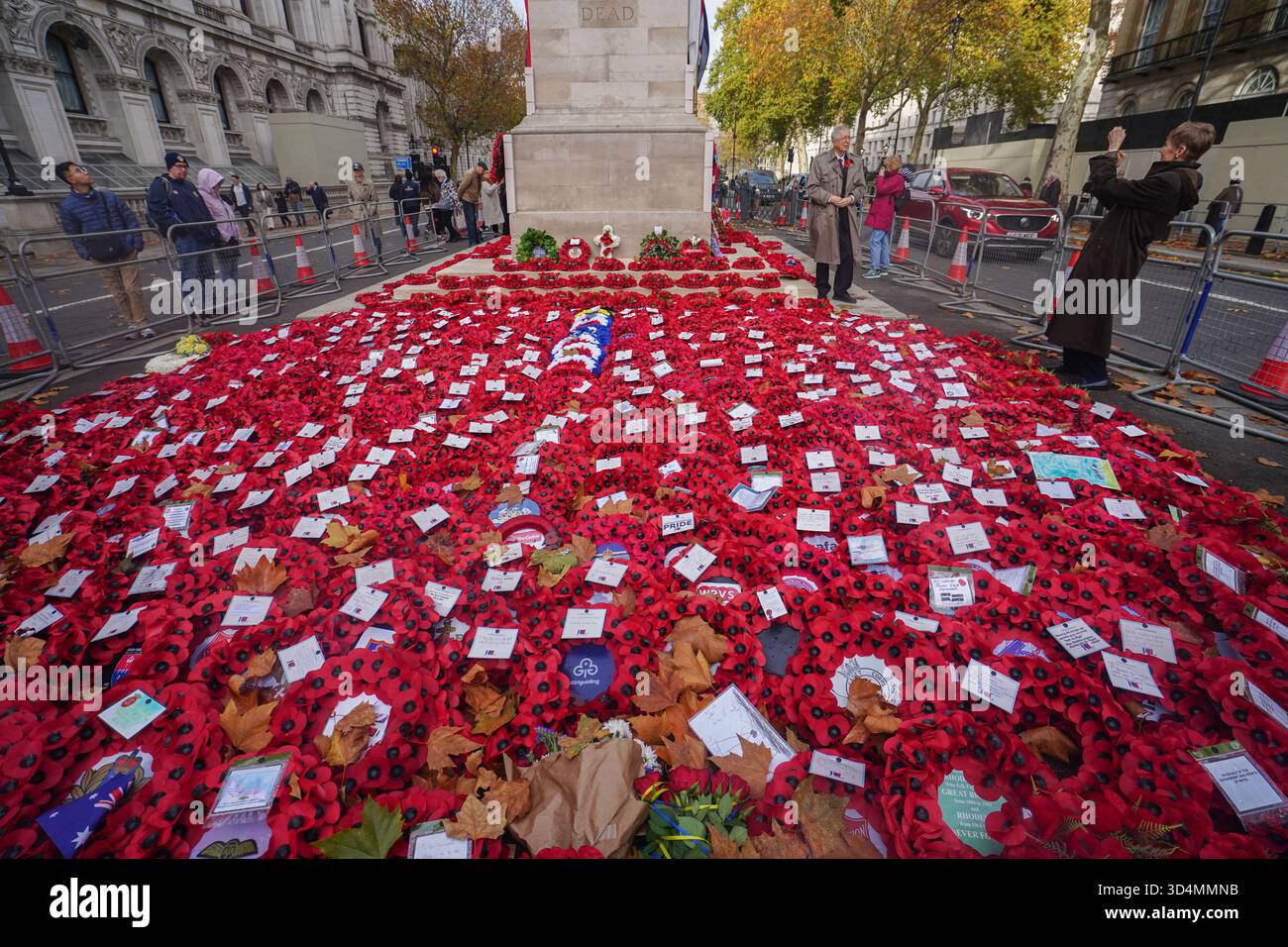11 November 2025. Remembrance poppy wreaths at the Whitehall Cenotaph ...