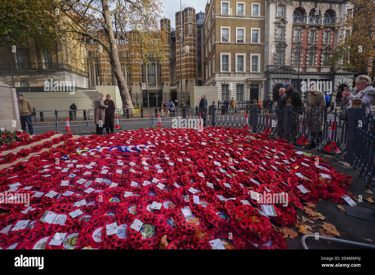 11 November 2025. Remembrance poppy wreaths at the Whitehall Cenotaph ...