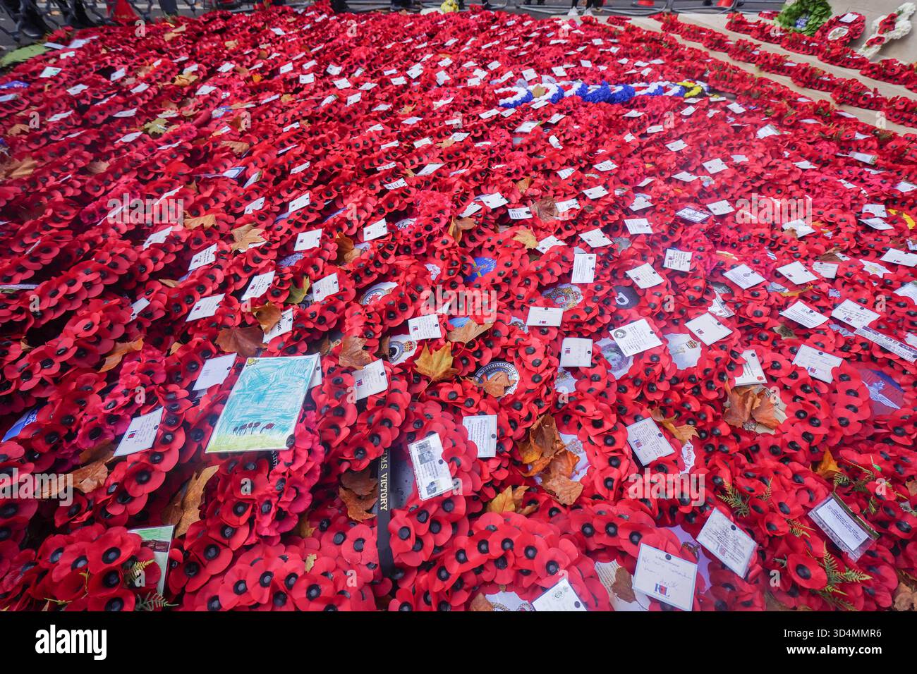 11 November 2025. Remembrance poppy wreaths at the Whitehall Cenotaph ...