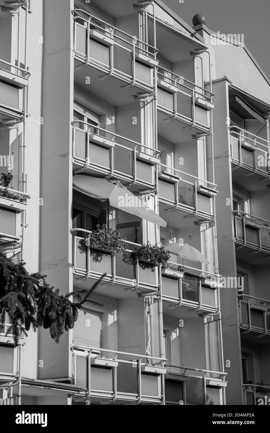 Flowers balcony potted Black and White Stock Photos & Images - Alamy