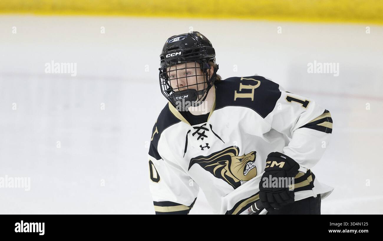 Lindenwood's Jacob Fletcher plays during an NCAA hockey game on ...