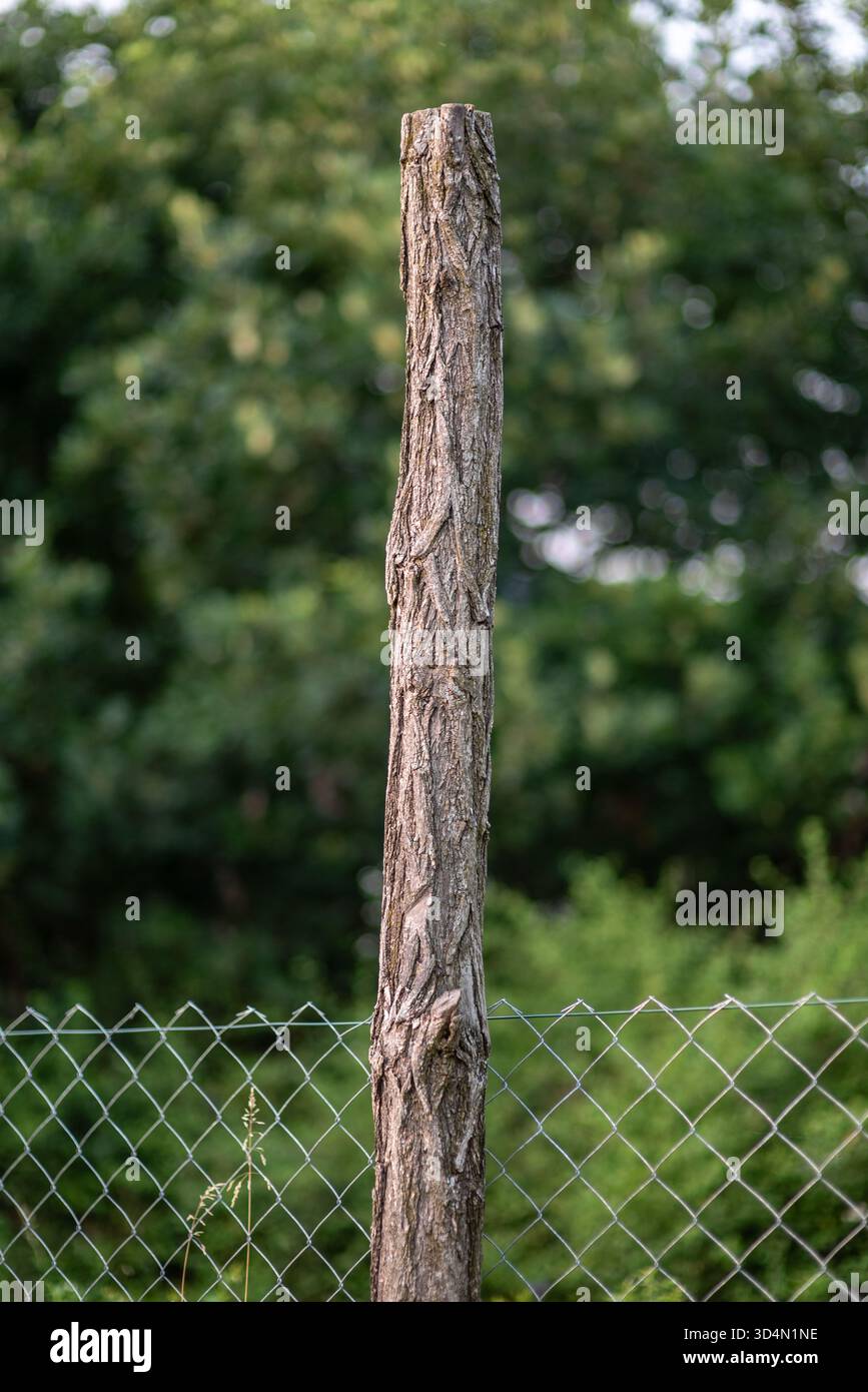 A wooden post with textured bark stands in front of a wire fence ...