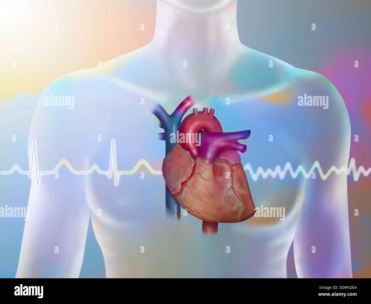 Normal ecg hi-res stock photography and images - Alamy