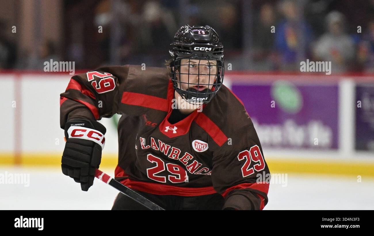 St. Lawrence forward Gunnar Thoreson (29) during an NCAA hockey game ...