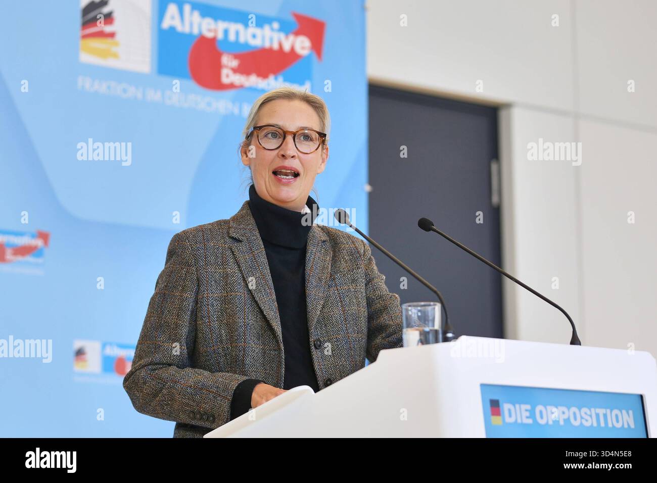 Berlin, Deutschland, 11.11.2025: Deutscher Bundestag: AfD ...