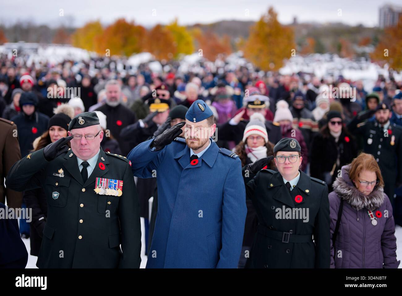 Canadian Forces members salute during the playing of the Last Post at a ...