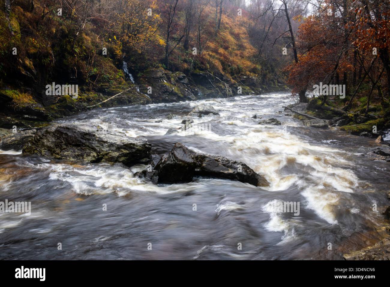 The River Falloch below the Falls of Falloch on a bleak November day ...
