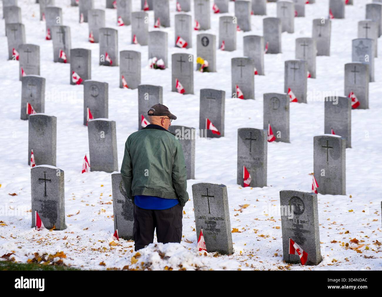 A man walks amongst the rows of fallen Canadian soldiers as he pay his ...