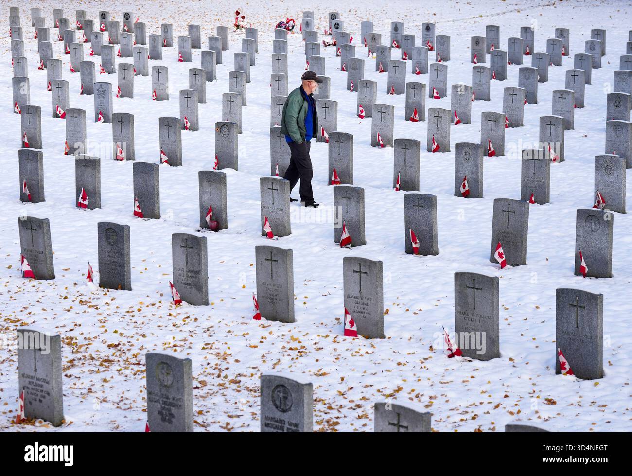 A man walks amongst the rows of fallen Canadian soldiers as he pay his ...