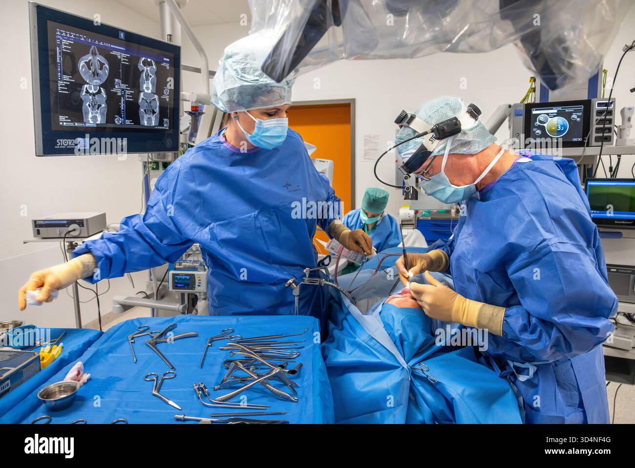 Professor Dr. Burkard Lippert, Director of the Department of ...