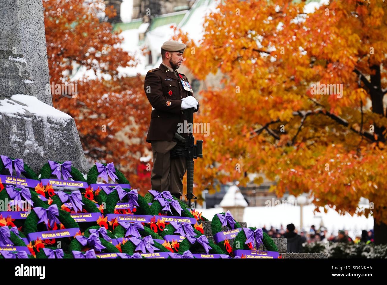 A sentry stands guard at the National War Memorial during the National ...