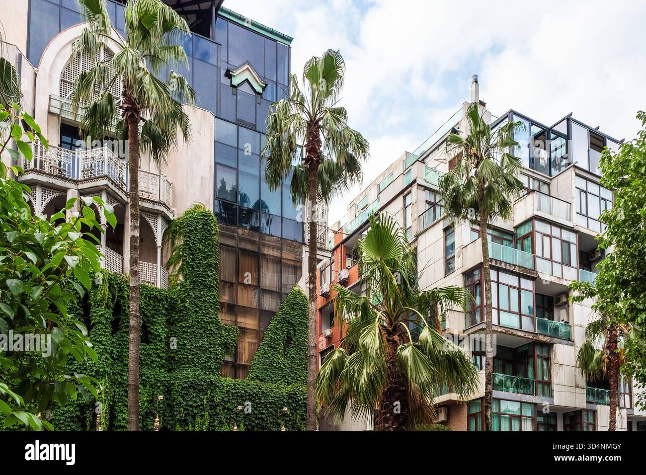 Palm trees modern buildings hi-res stock photography and images - Alamy