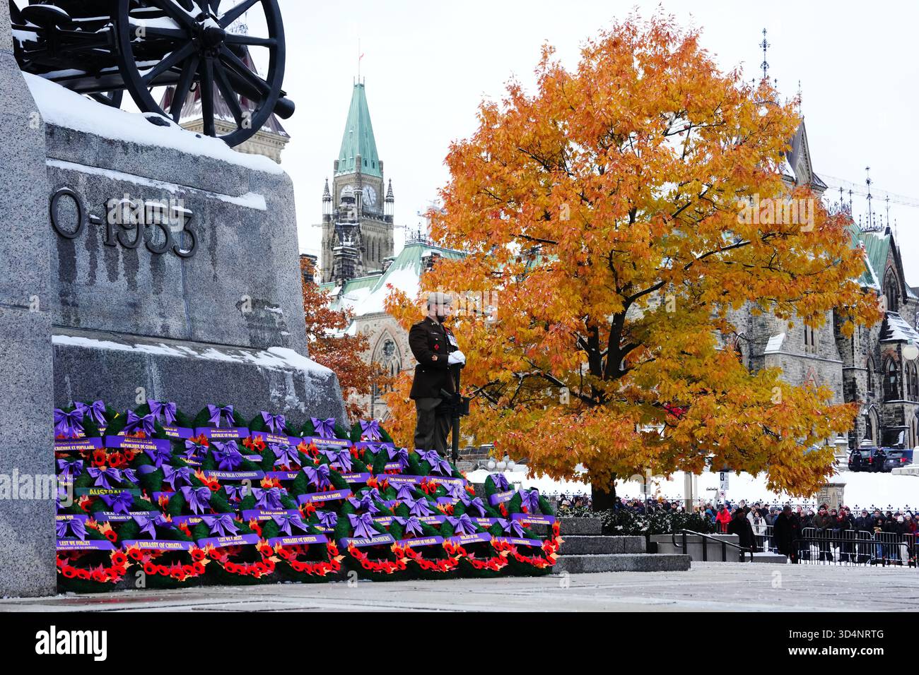 A sentry stands guard at the National War Memorial during the National ...