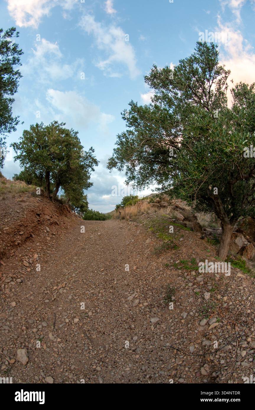 Rugged pathway hi-res stock photography and images - Alamy