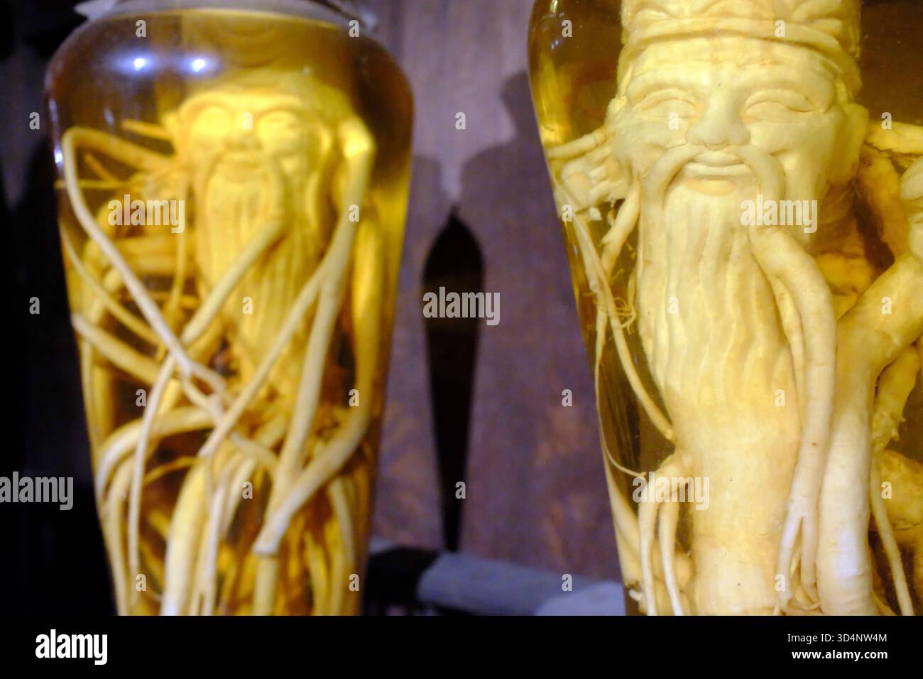 Fito Museum or museum of Vietnamese Traditionnal Medicine. Bottles of ...