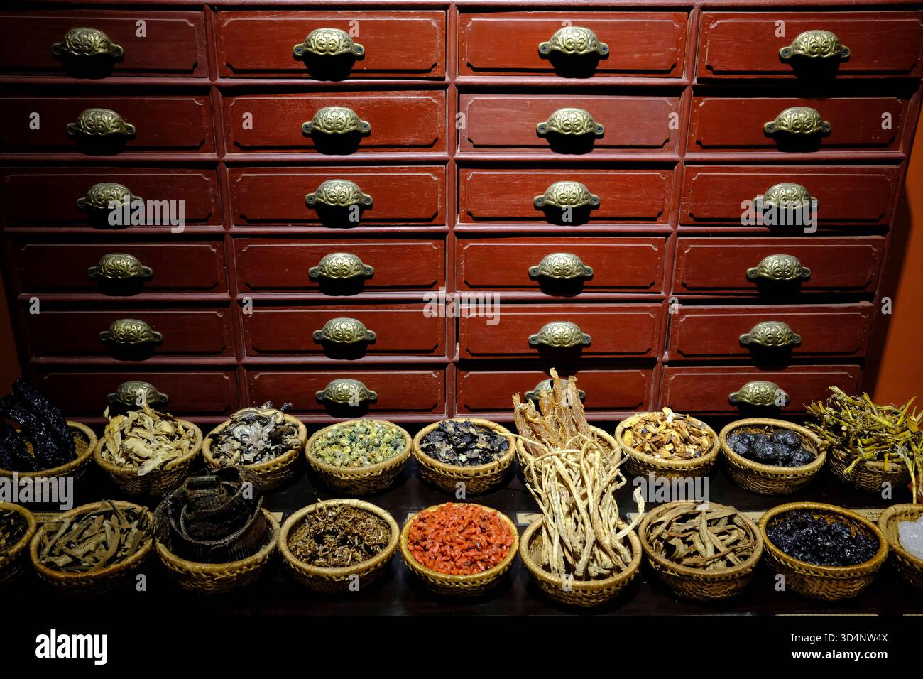 Fito Museum or museum of Vietnamese Traditionnal Medicine. Pharamacy ...