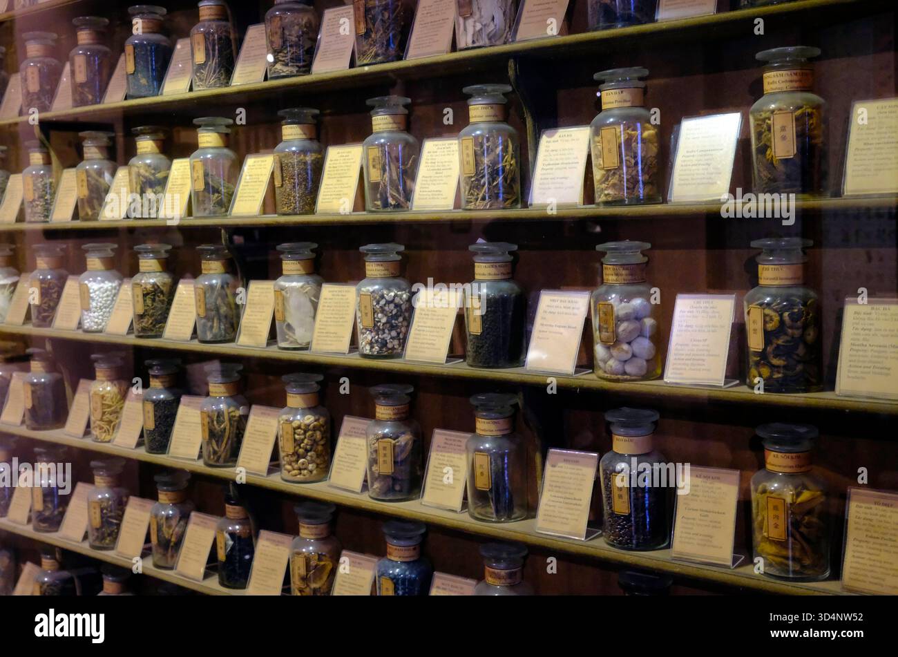 Fito Museum or museum of Vietnamese Traditionnal Medicine. Apothecary ...