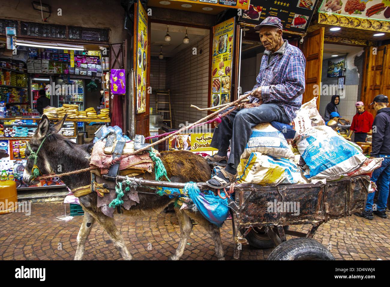 Donkey-drawn cart in Marrakesh, Morocco. Donkey-drawn cart in Marrakesh ...