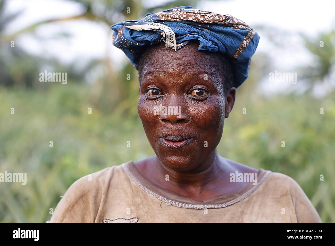 Pineapple plantation worker in Allada, Benin. Pineapple plantation ...