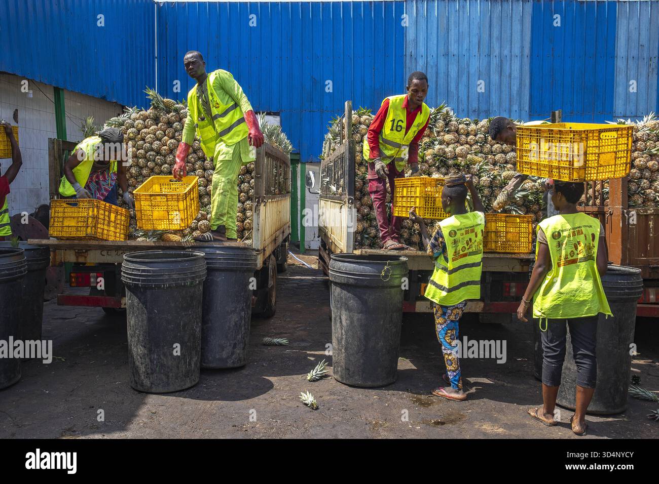 Workers unloading fruit in a juice factory in Allada, Benin. Workers ...