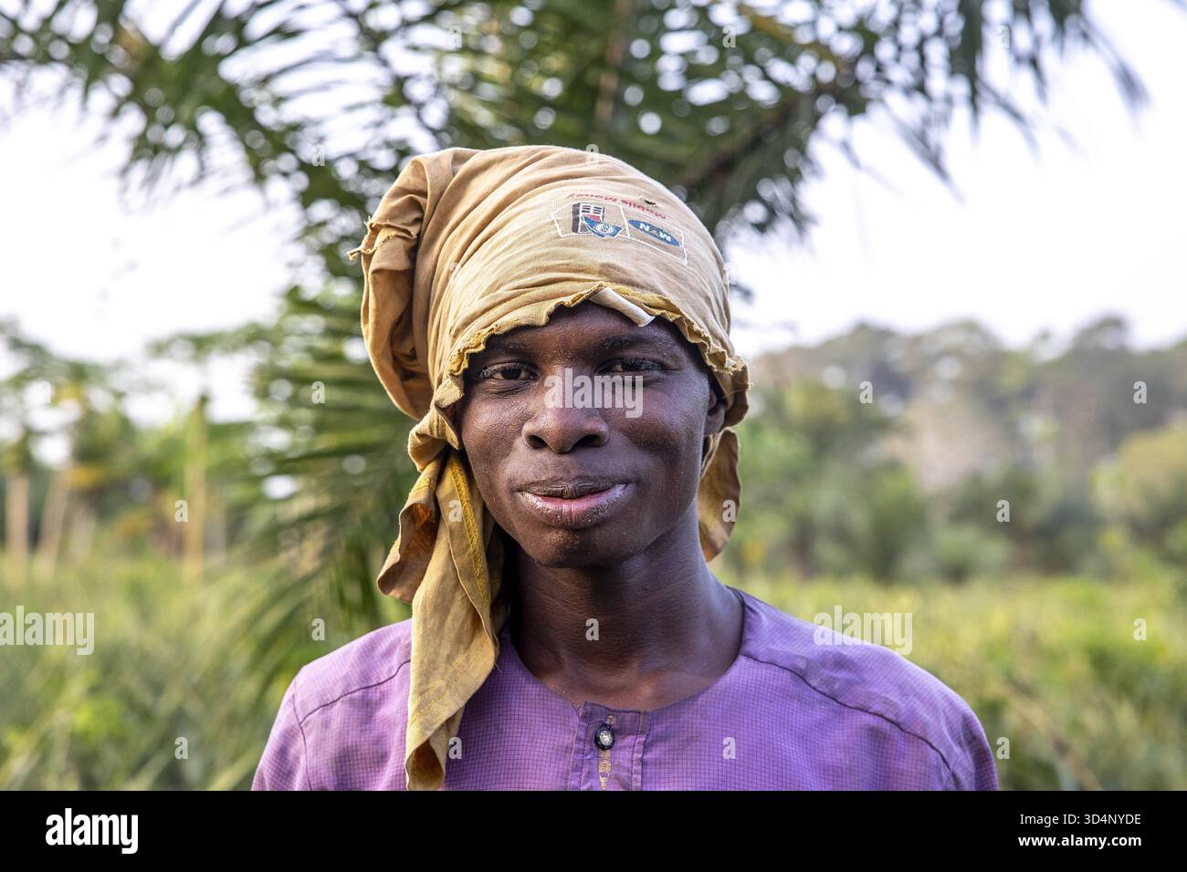 Pineapple plantation worker in Allada, Benin. Pineapple plantation ...