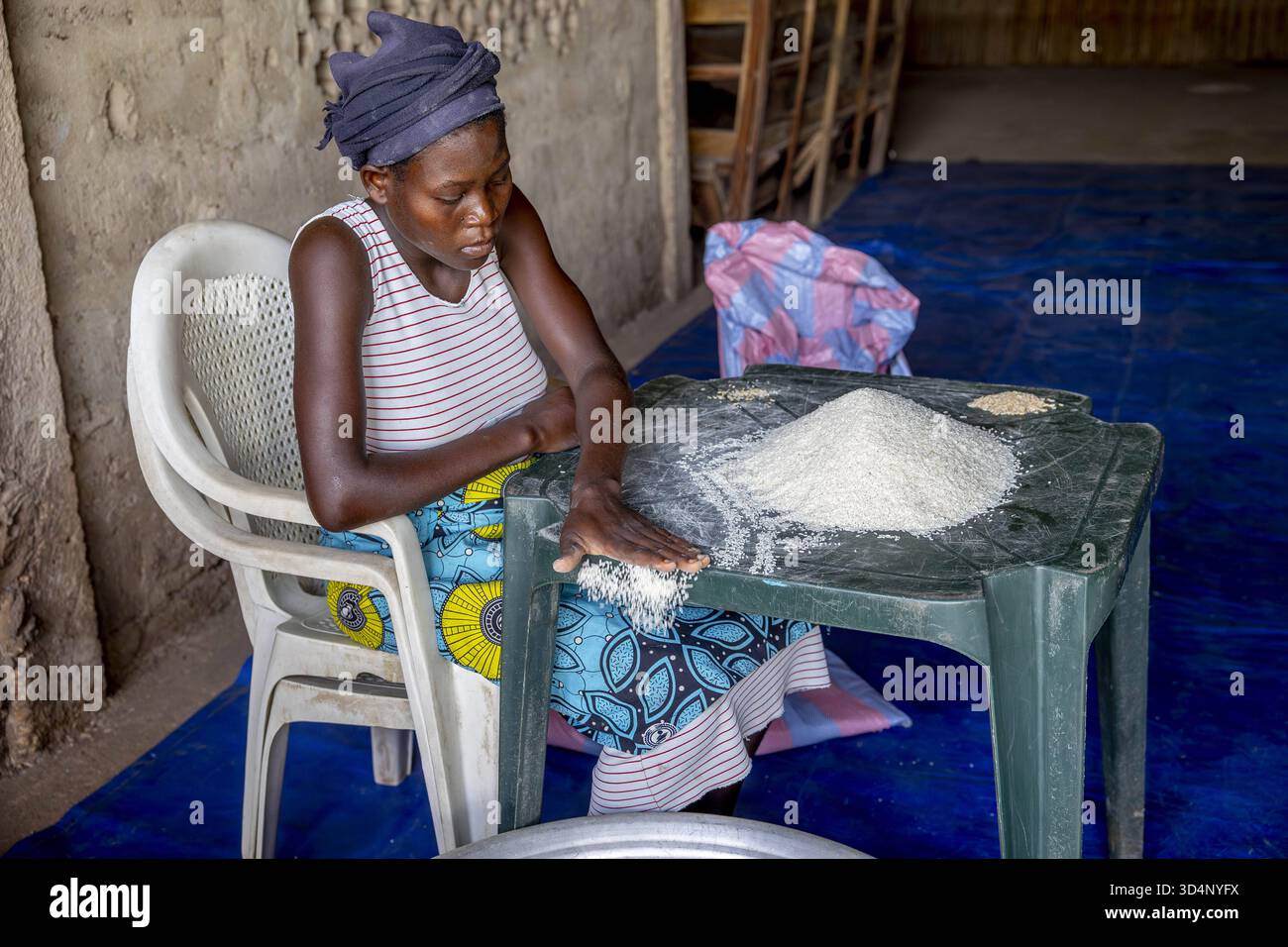 Worker sorting organic rice produced in Agoutome, Benin. Worker sorting ...