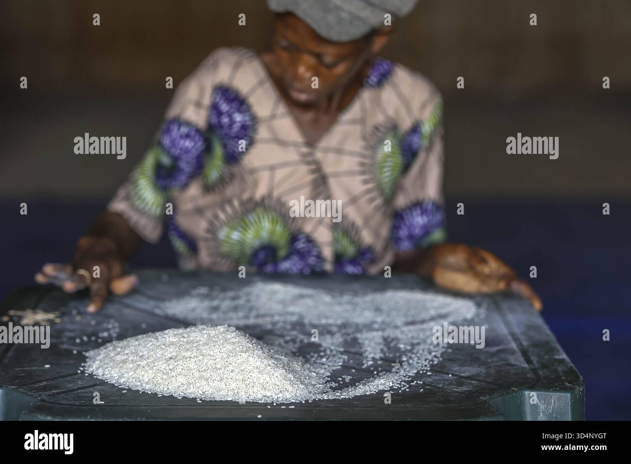 Woman sorting organic rice in Agoutome, Benin. Woman sorting organic ...