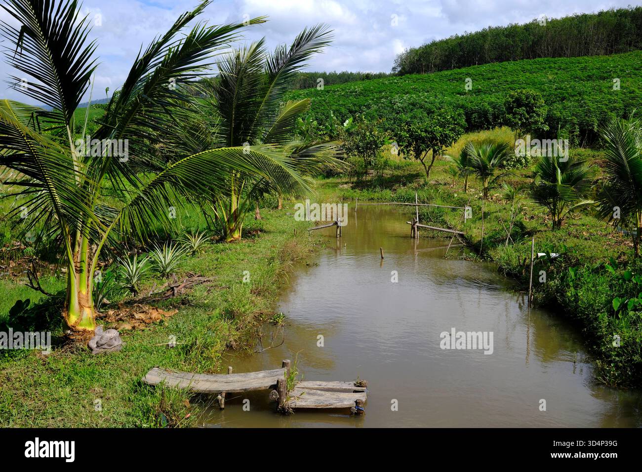 Traditional farm on the highlands. Kontum. Vietnam. Traditional farm on ...