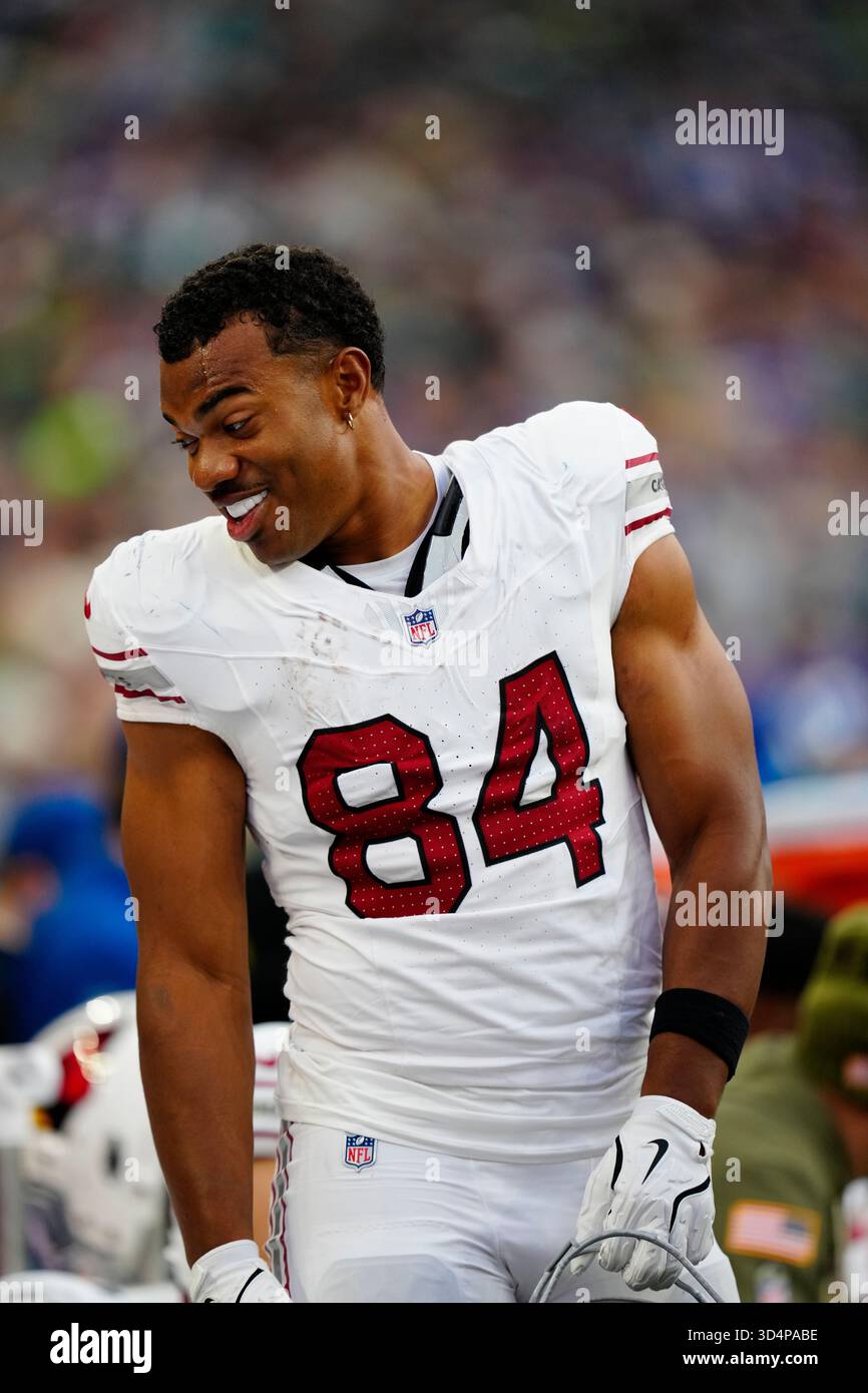 Arizona Cardinals tight end Elijah Higgins (84) stands on the sideline ...