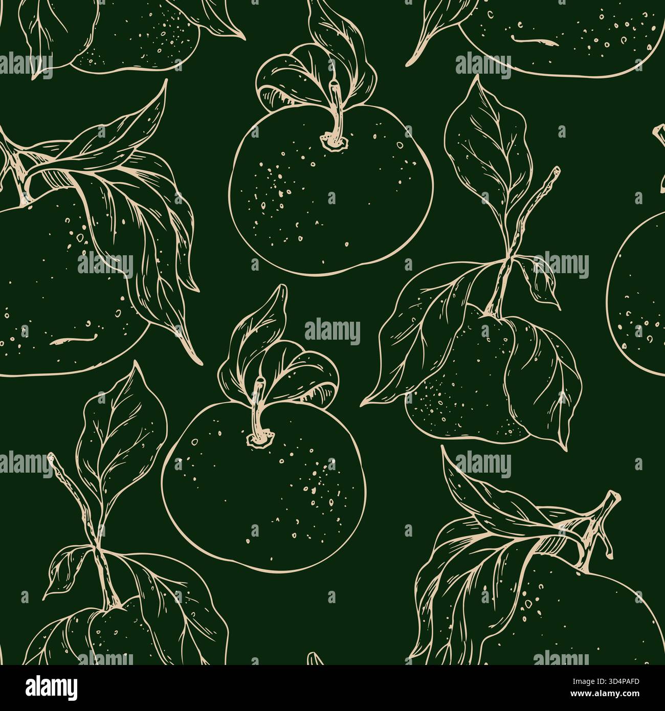 Minimalist fruit drawing Stock Vector Images - Alamy