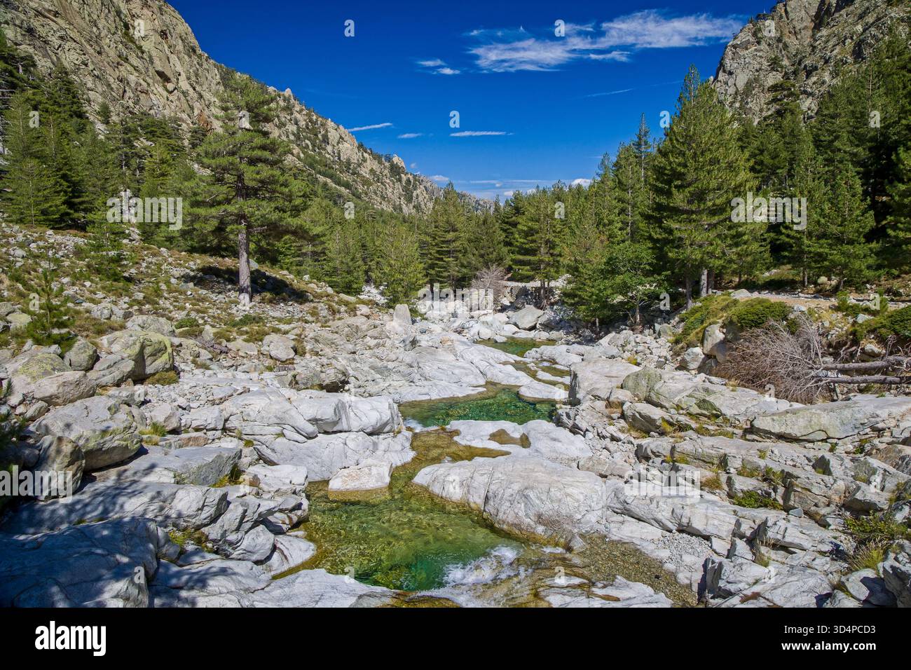 the hiking area of the Restonica Valley with its riverbed with clear ...