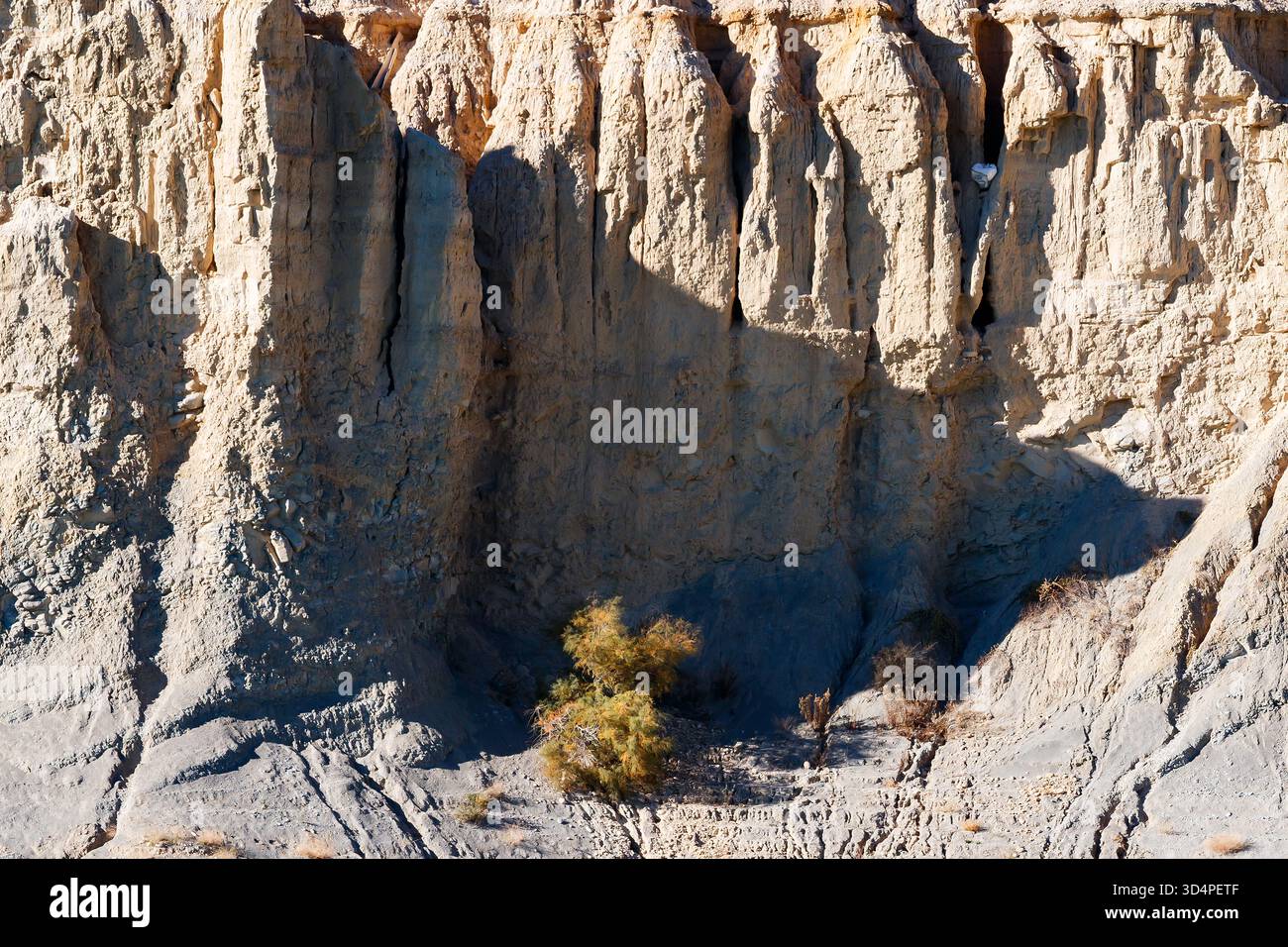 A sheer wall of pale, deeply eroded badlands sediment resting on a ...
