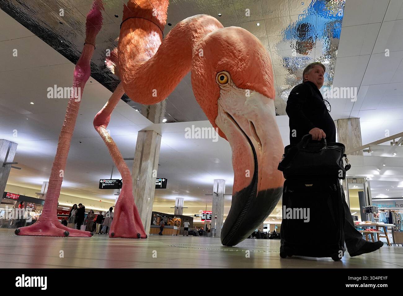A traveler passes by the "Phoebe the Flamingo" statue as they look for ...