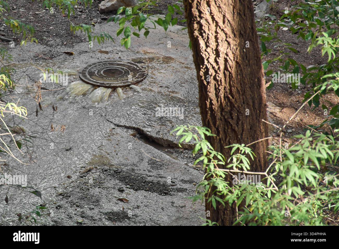A manhole cover overflows with contaminated water onto rocky forest ...