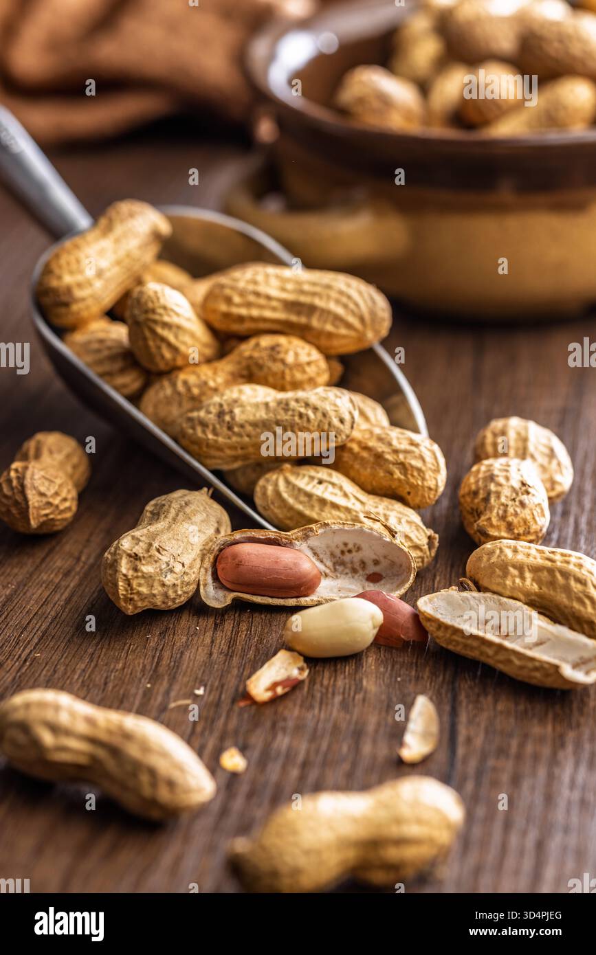 Peanuts in shell. Groundnuts in scoop on a wooden table Stock Photo - Alamy