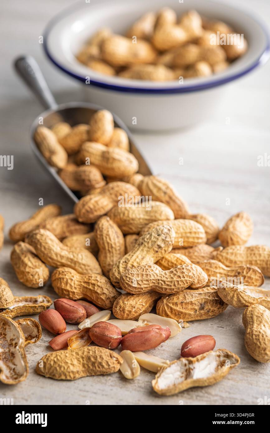 Peanuts in shell. Groundnuts on a kitchen table Stock Photo - Alamy