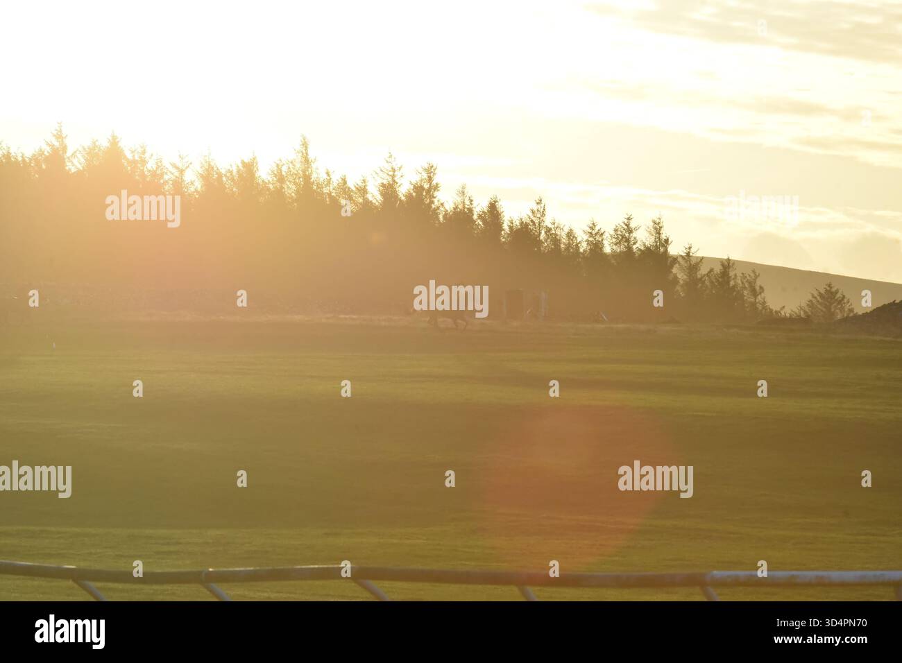 Gallops on high moor middleham hi-res stock photography and images - Alamy