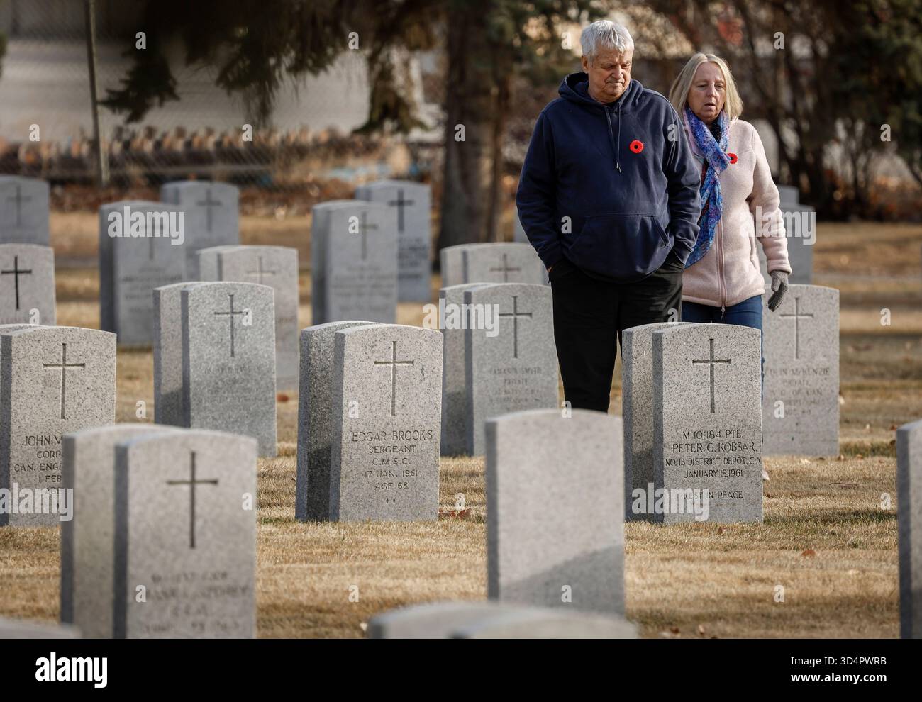 A couple walk amongst military grave markers on Remembrance Day in ...