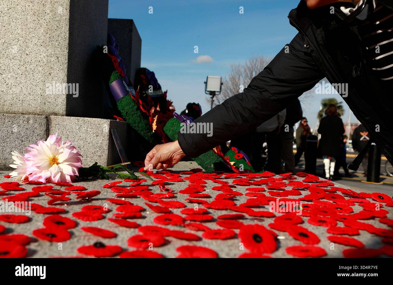People place poppies at the base of the cenotaph during Remembrance Day ...