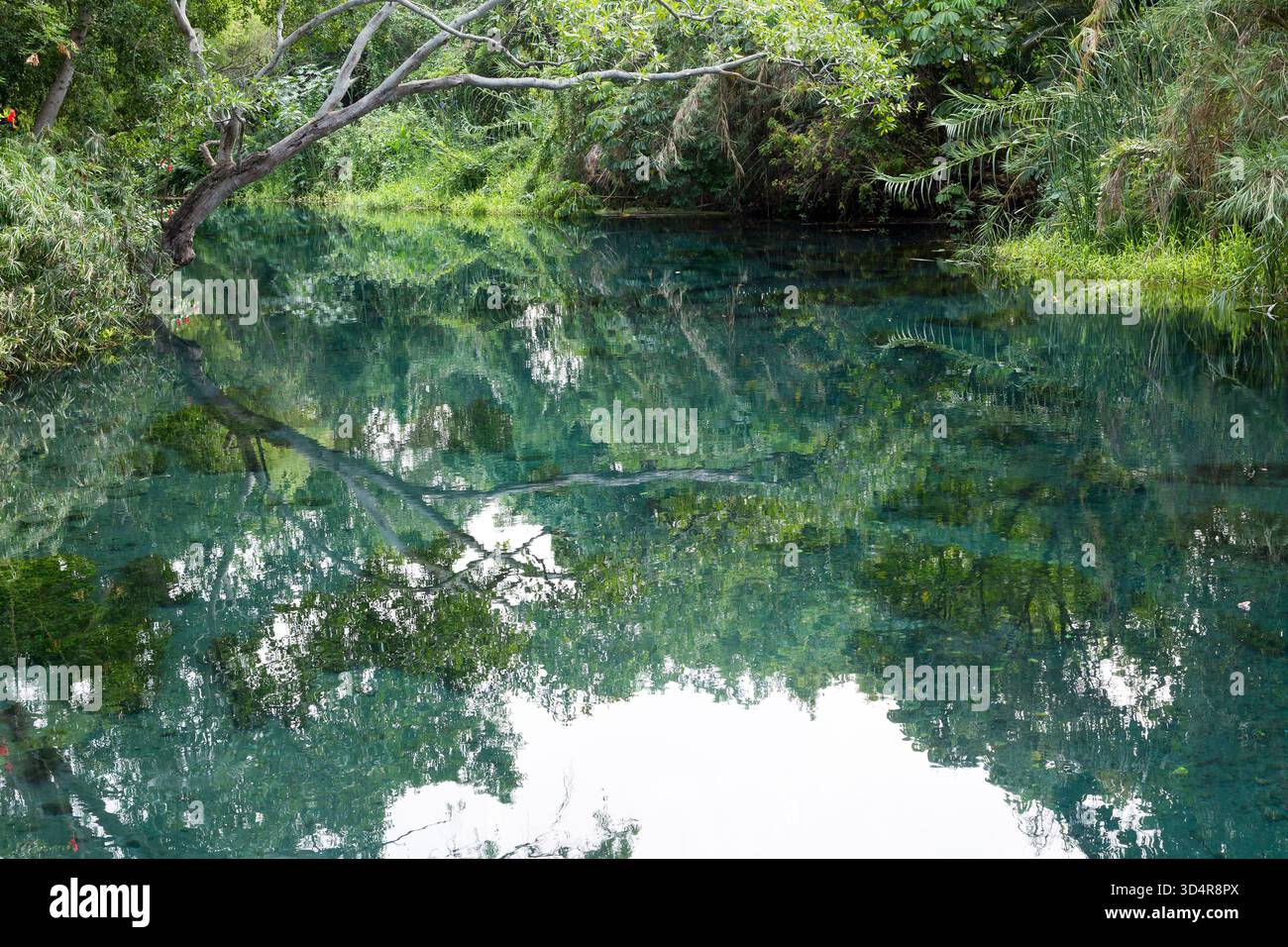 Las Estacas River and resort. Morelos, Mexico Stock Photo - Alamy
