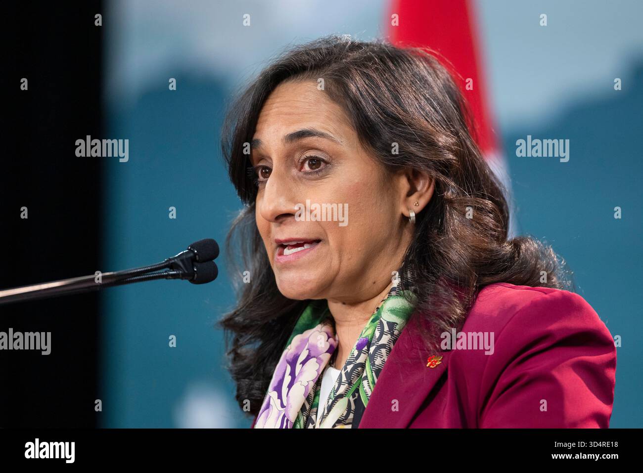 Foreign Affairs Minister Anita Anand delivers opening remarks during ...