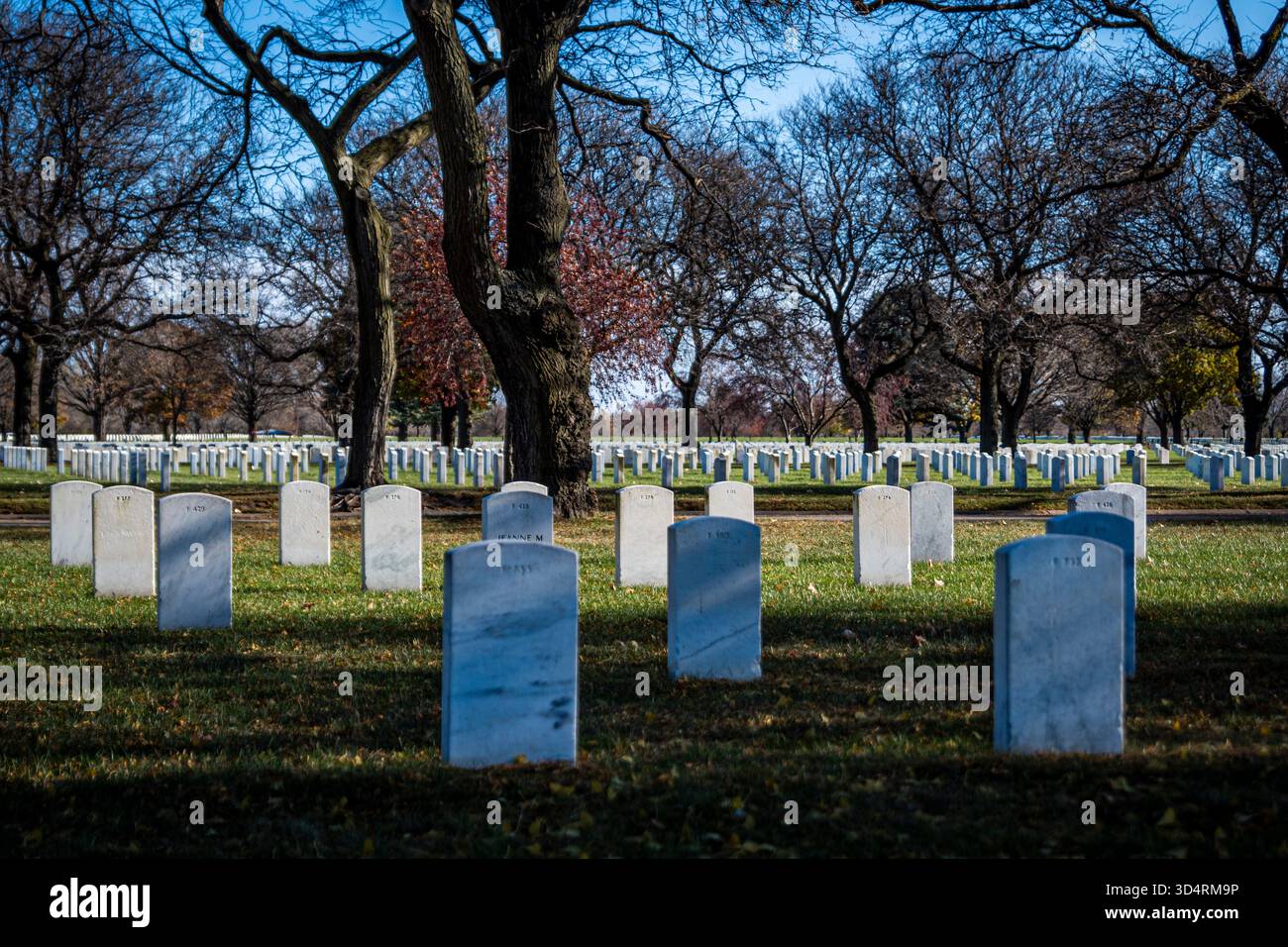 Minneapolis, Minnesota, USA. 11th Nov, 2025. Military headstones at ...