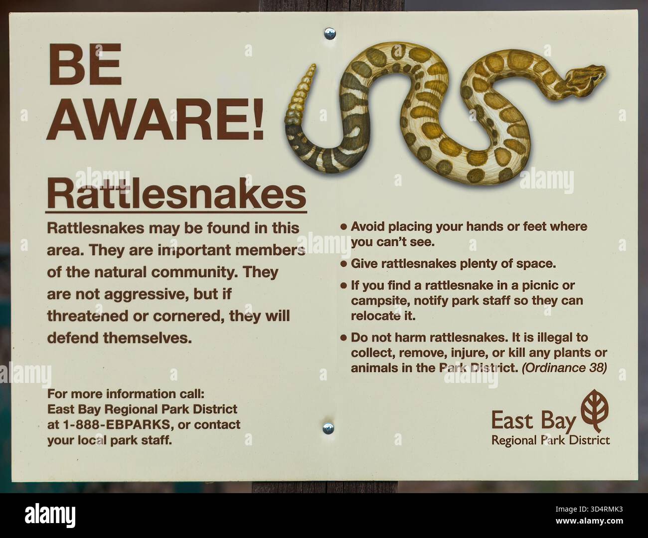 Hayward, California, USA - 12th October 2025: Rattlesnakes Awareness ...