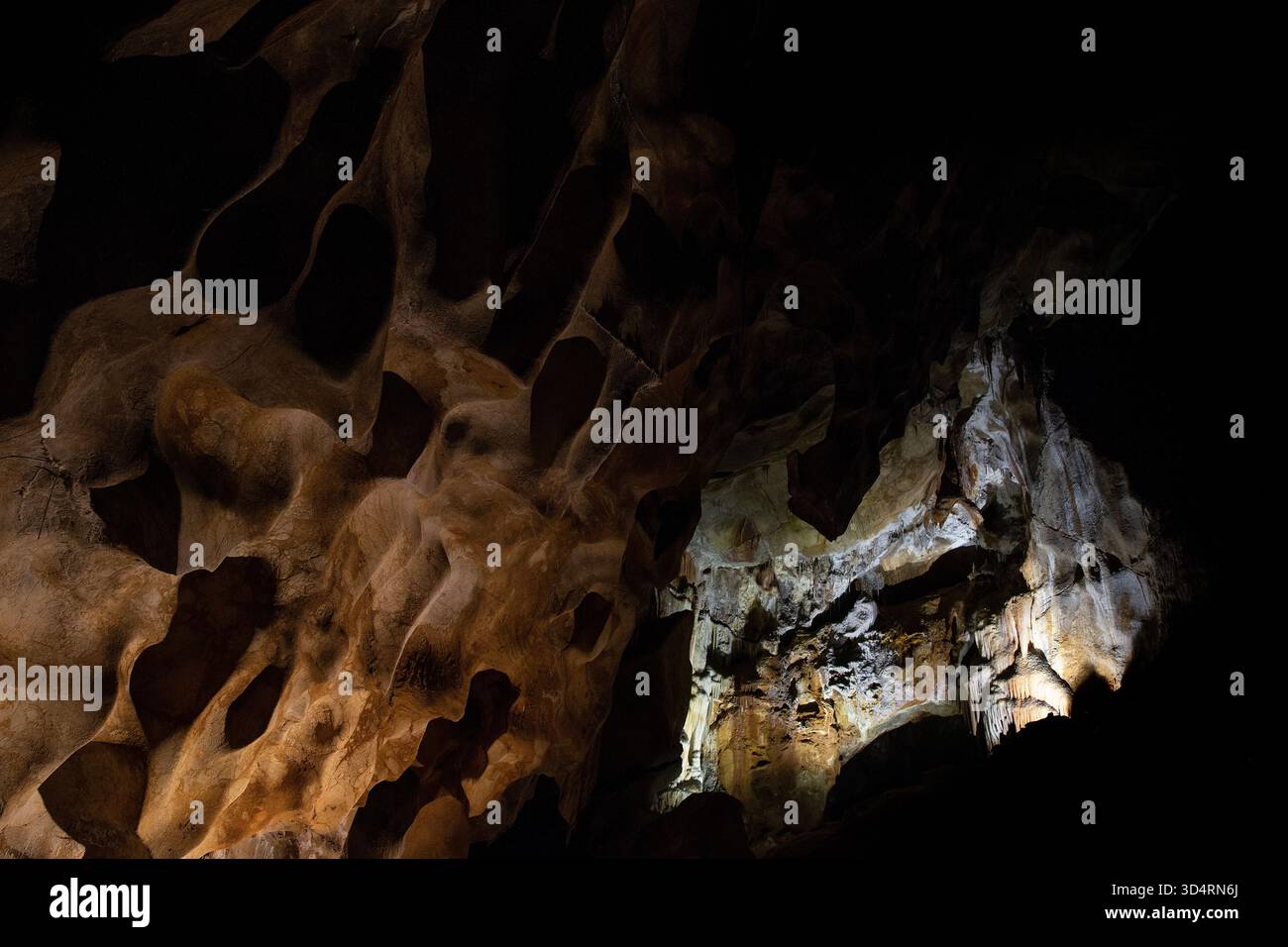 The Jenolan Caves are limestone caves located within the Jenolan Karst ...