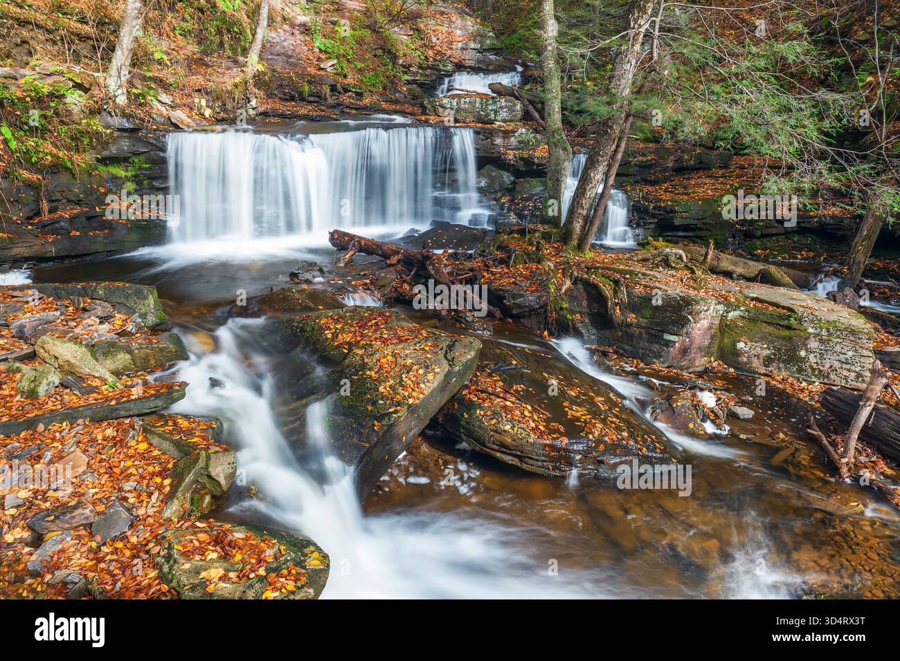 Seneca Falls located on the Ganoga Glen section of the Falls Trail at ...