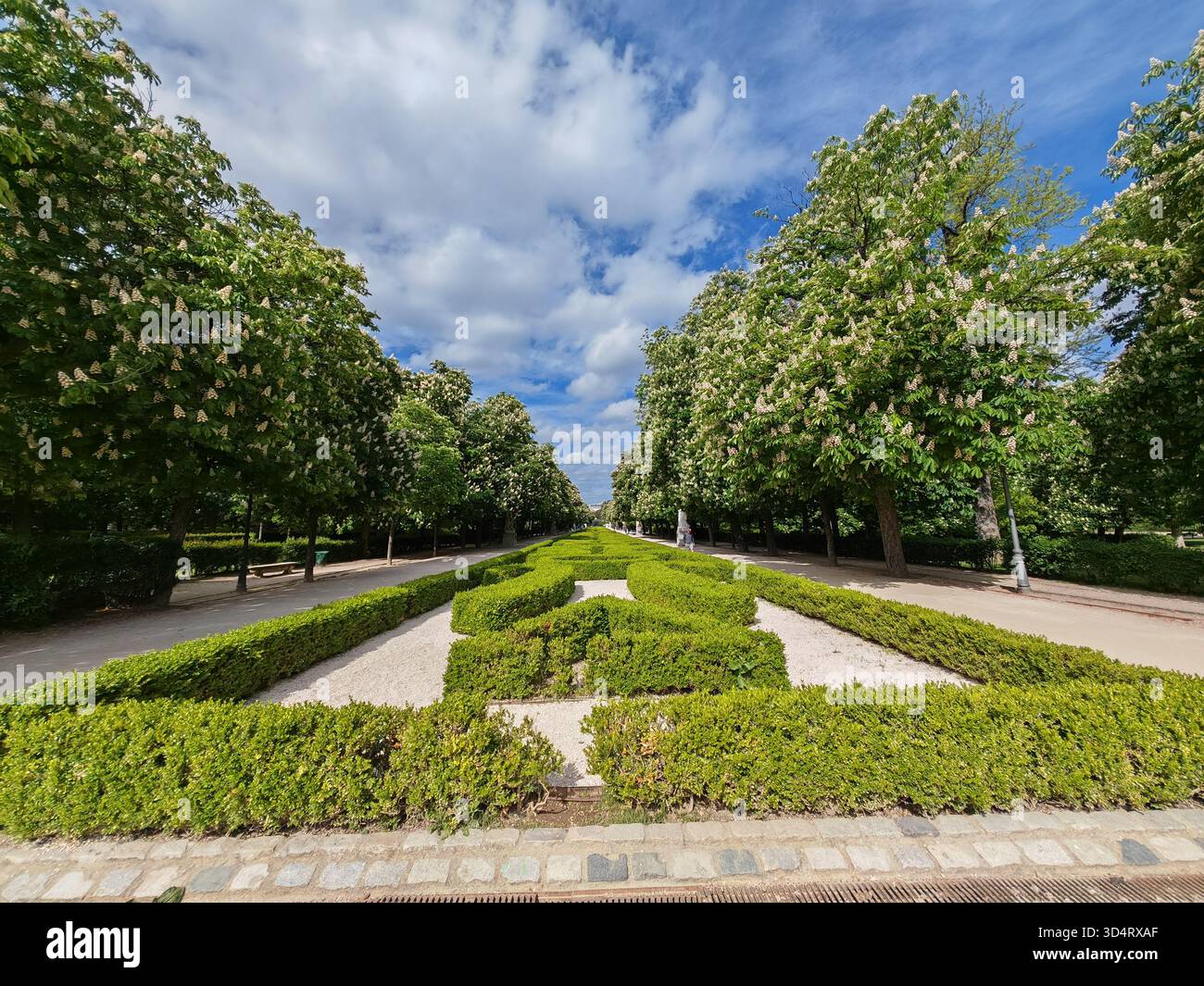 Symmetrical garden with trimmed hedges and trees Stock Photo - Alamy