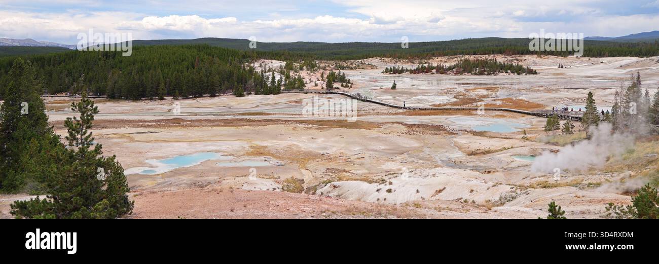 Panoramic view of Norris Geyser Basin in Yellowstone National Park, USA ...