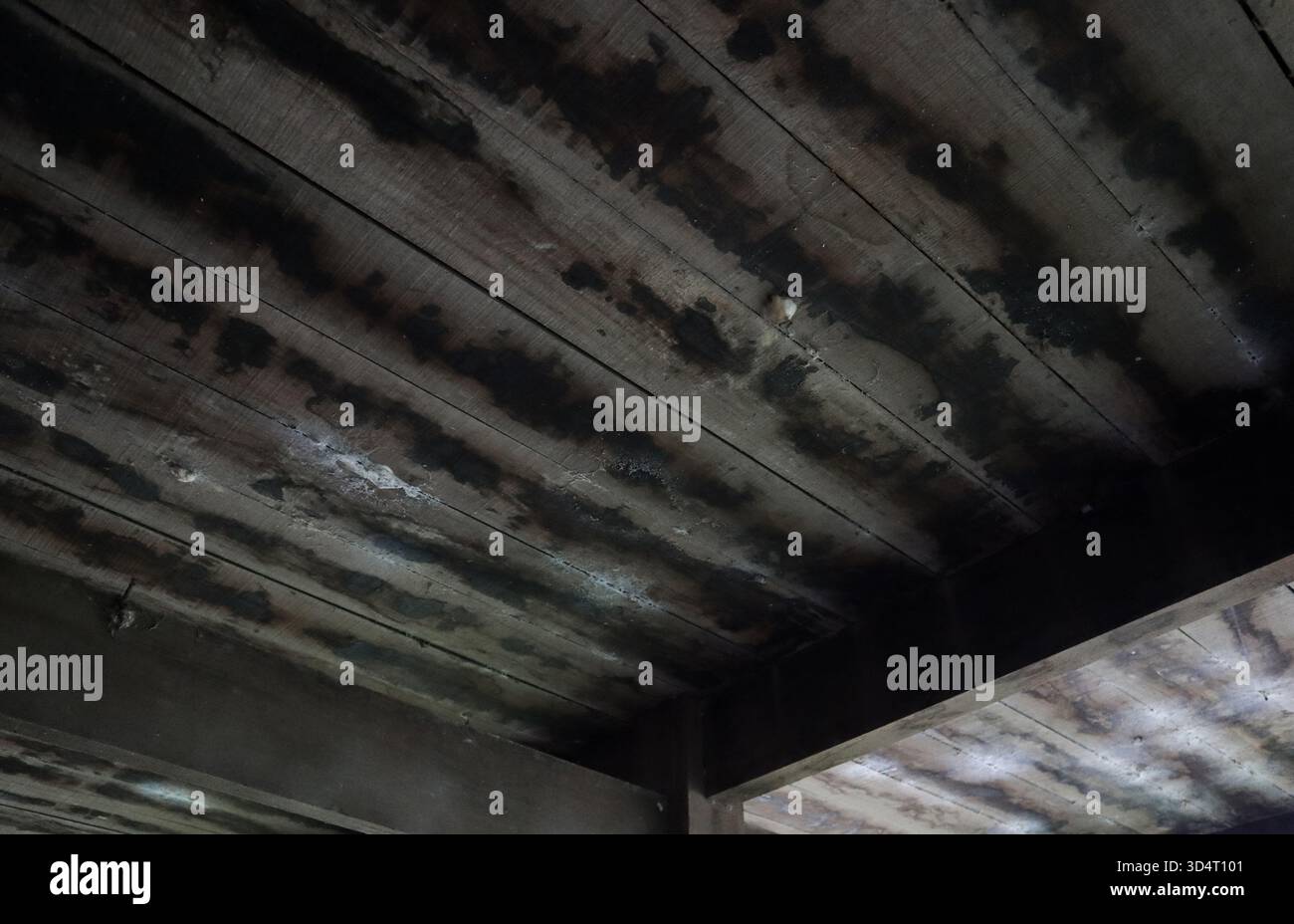 Dark-stained, possibly wet or moldy wooden planks, which appear to be ...